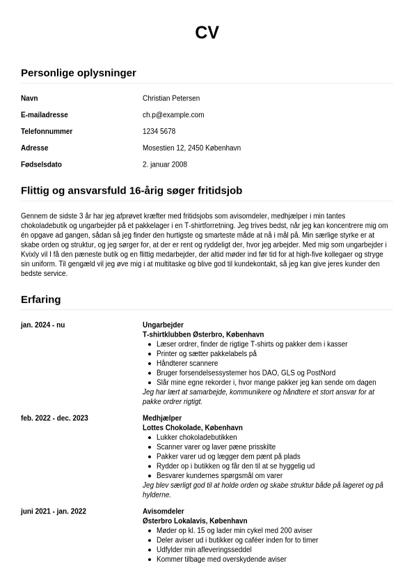 Ungarbejder- og fritidsjob CV-eksempel - CVwizard