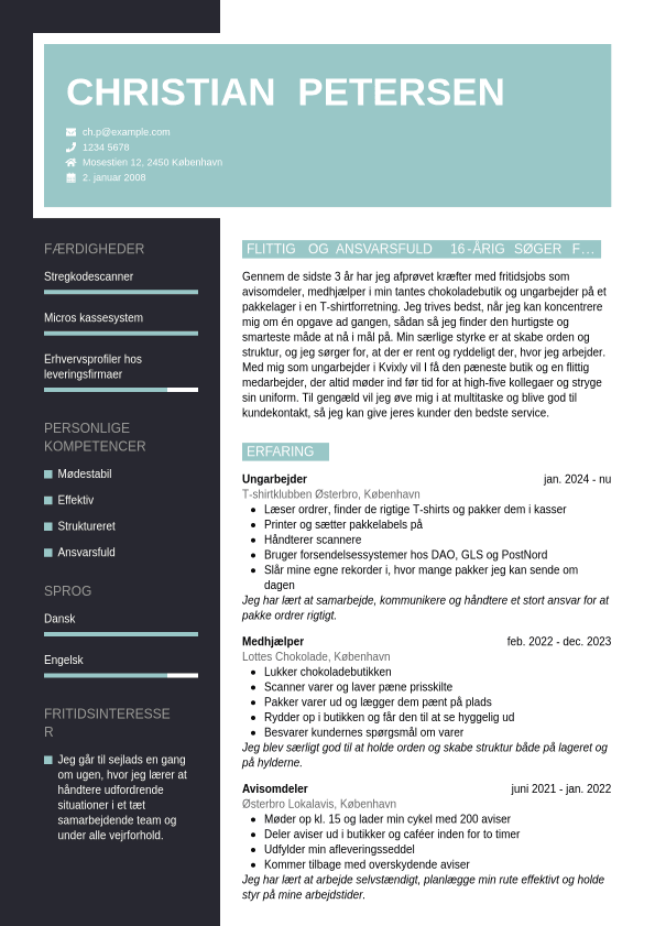 Ungarbejder- og fritidsjob CV-eksempel - CVwizard
