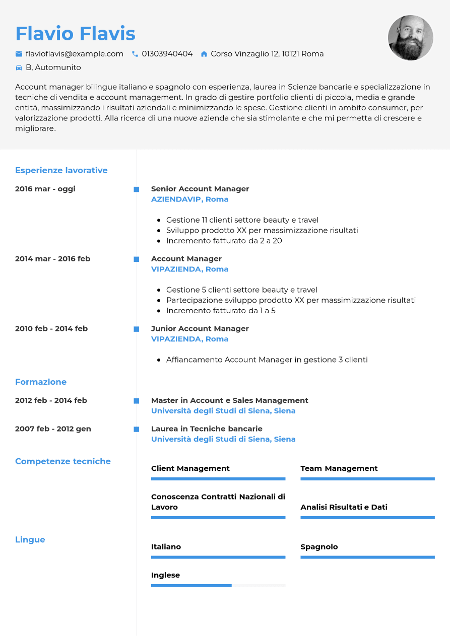 Esempio curriculum account manager - CVwizard