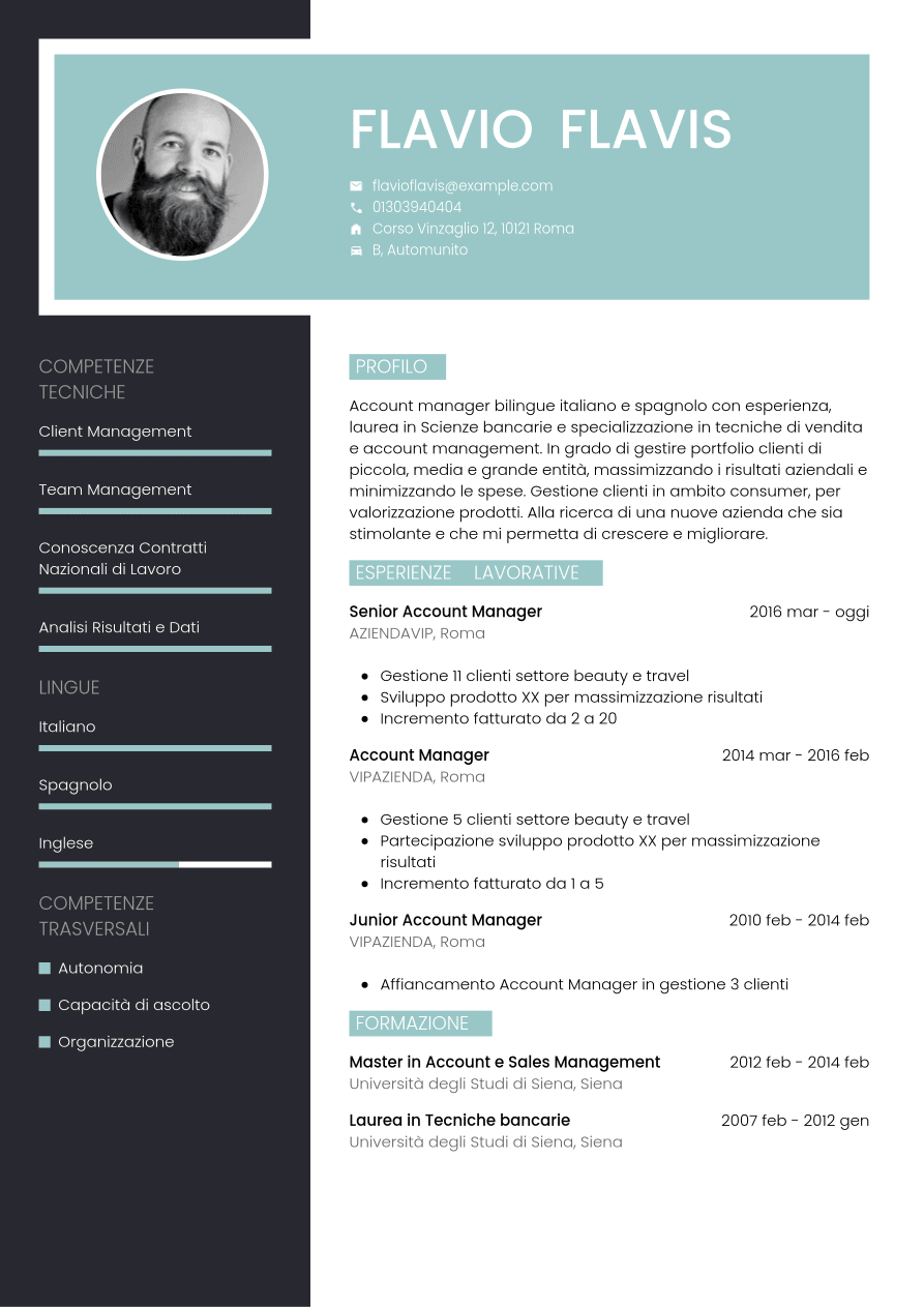 Esempio curriculum account manager - CVwizard