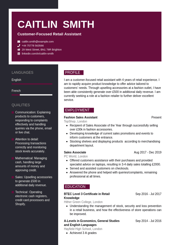 Professional CV Templates, Designs and Layouts - CVwizard