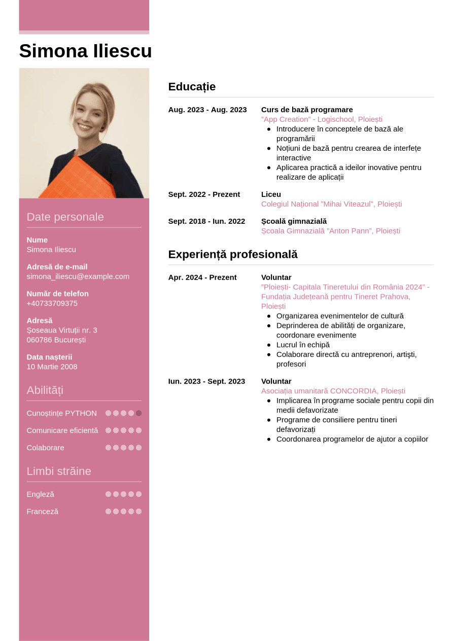 Modele de CV profesionale - CVwizard