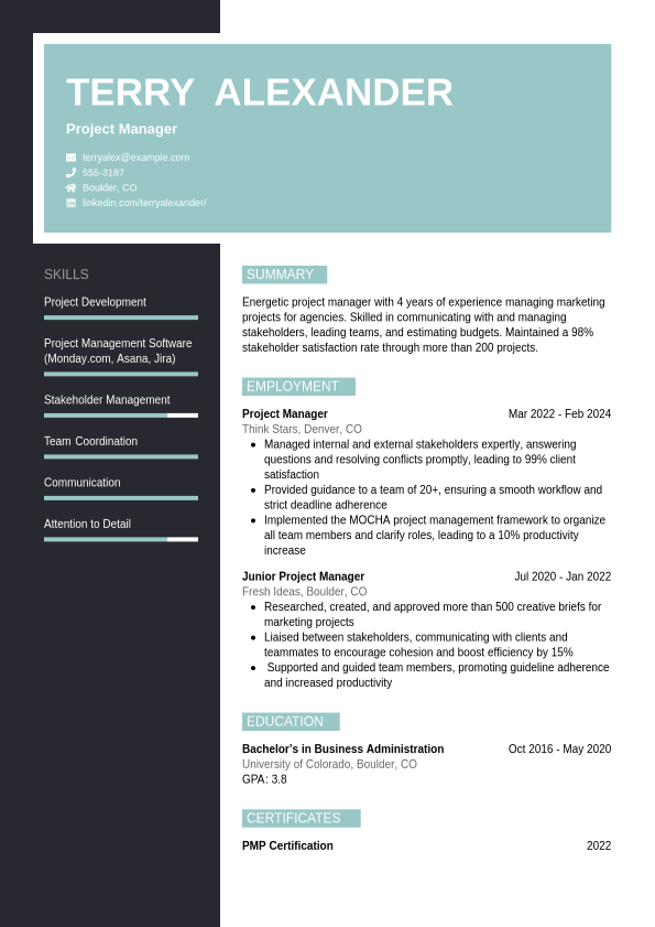 Project Manager Resume Examples and Tips - CVwizard