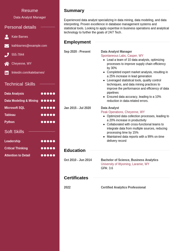 Resume Examples - CVwizard