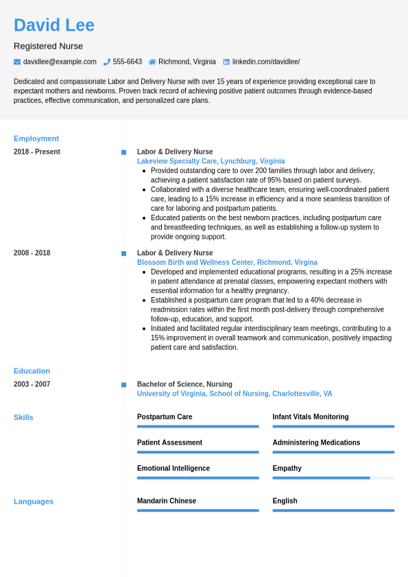 Nurse Resume Example - CVwizard