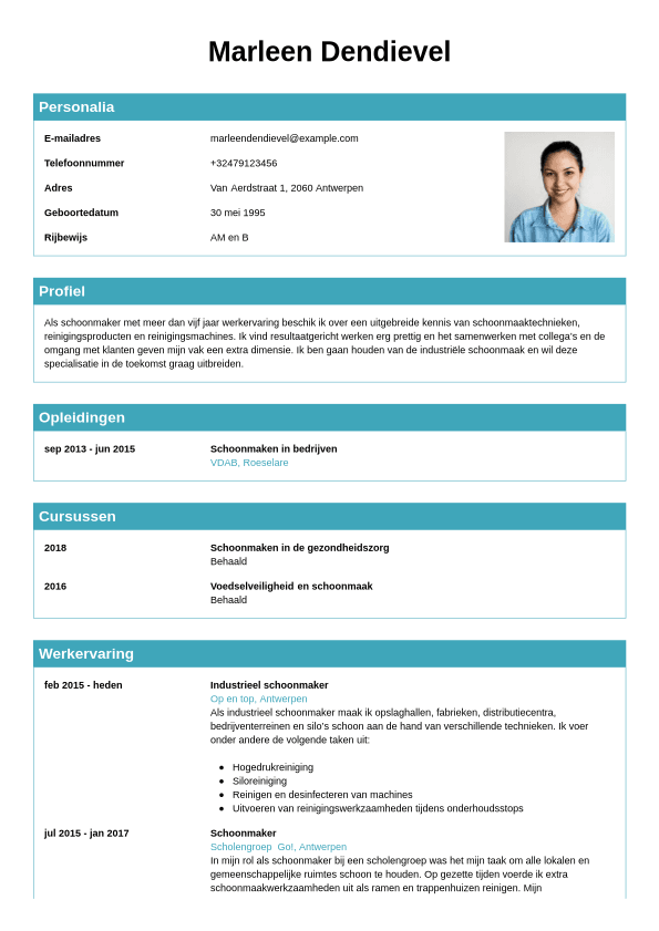 Modele de CV profesionale - CVwizard