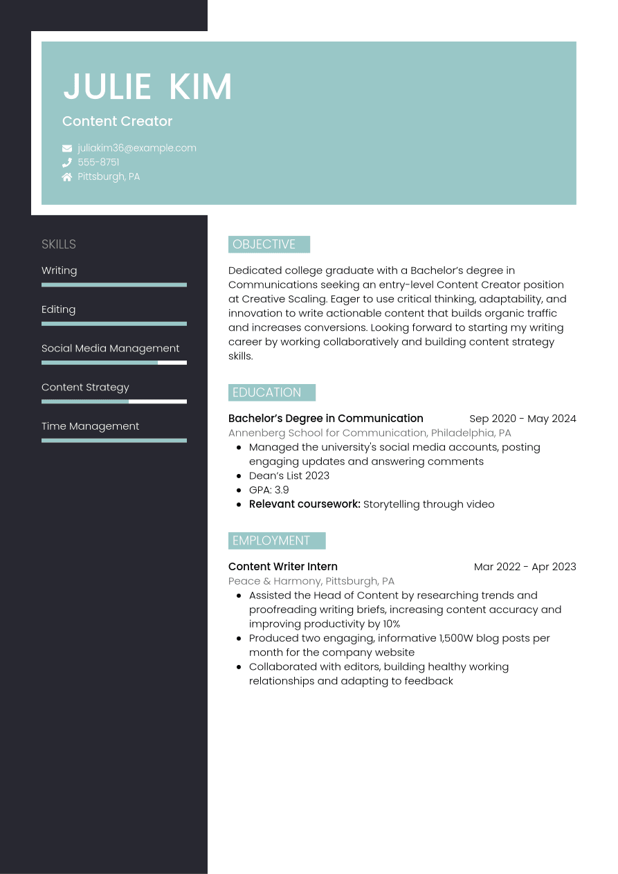 College Resume Examples & Writing Tips - CVwizard