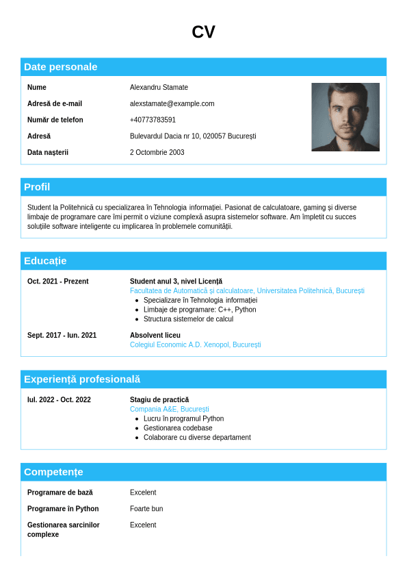 Modele de CV profesionale - CVwizard