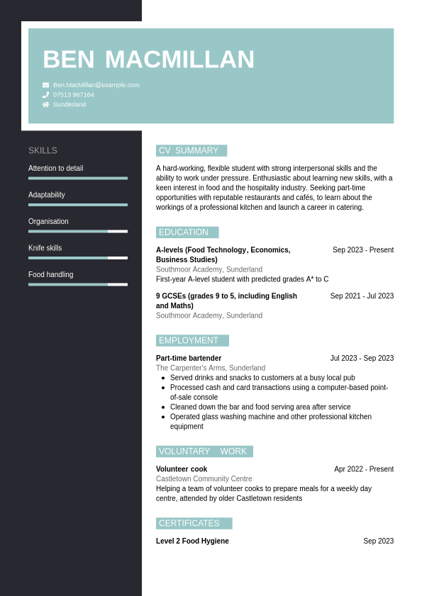 CV Examples - CVwizard