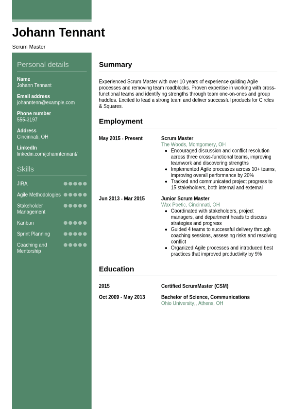 Resume Examples - CVwizard