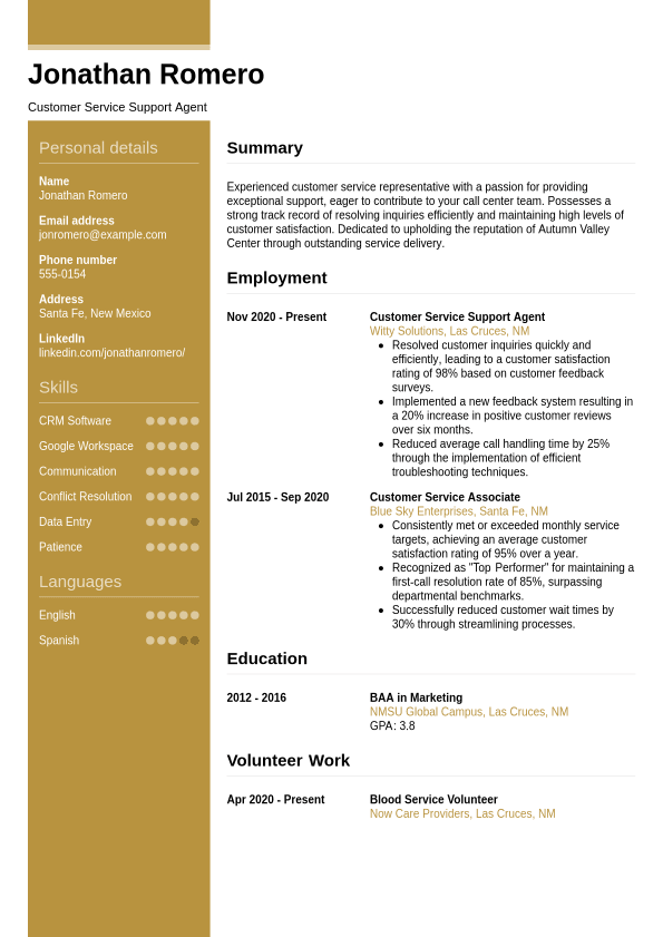 Resume Examples - CVwizard