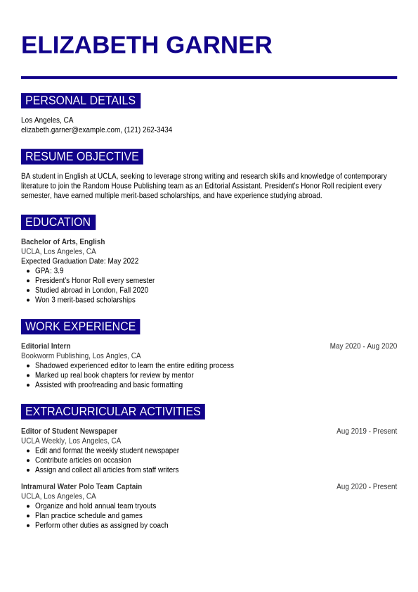 Modele de CV profesionale - CVwizard