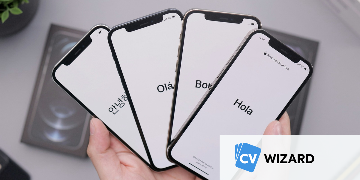 How to Structure and Write a Bilingual Resume - CVwizard