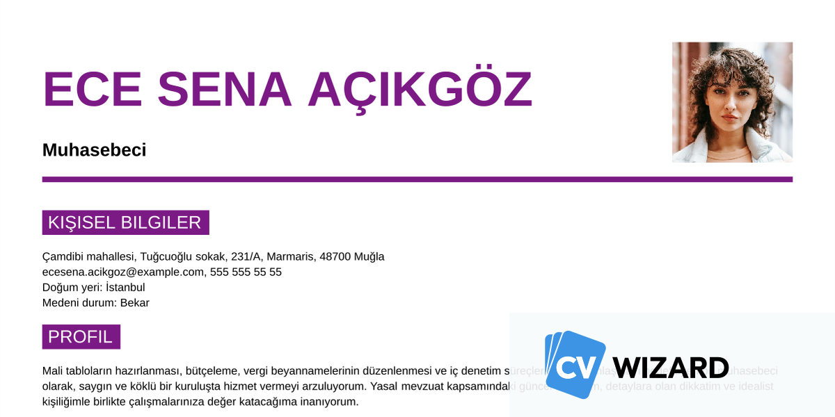 Muhasebe CV Örnekleri - CVwizard